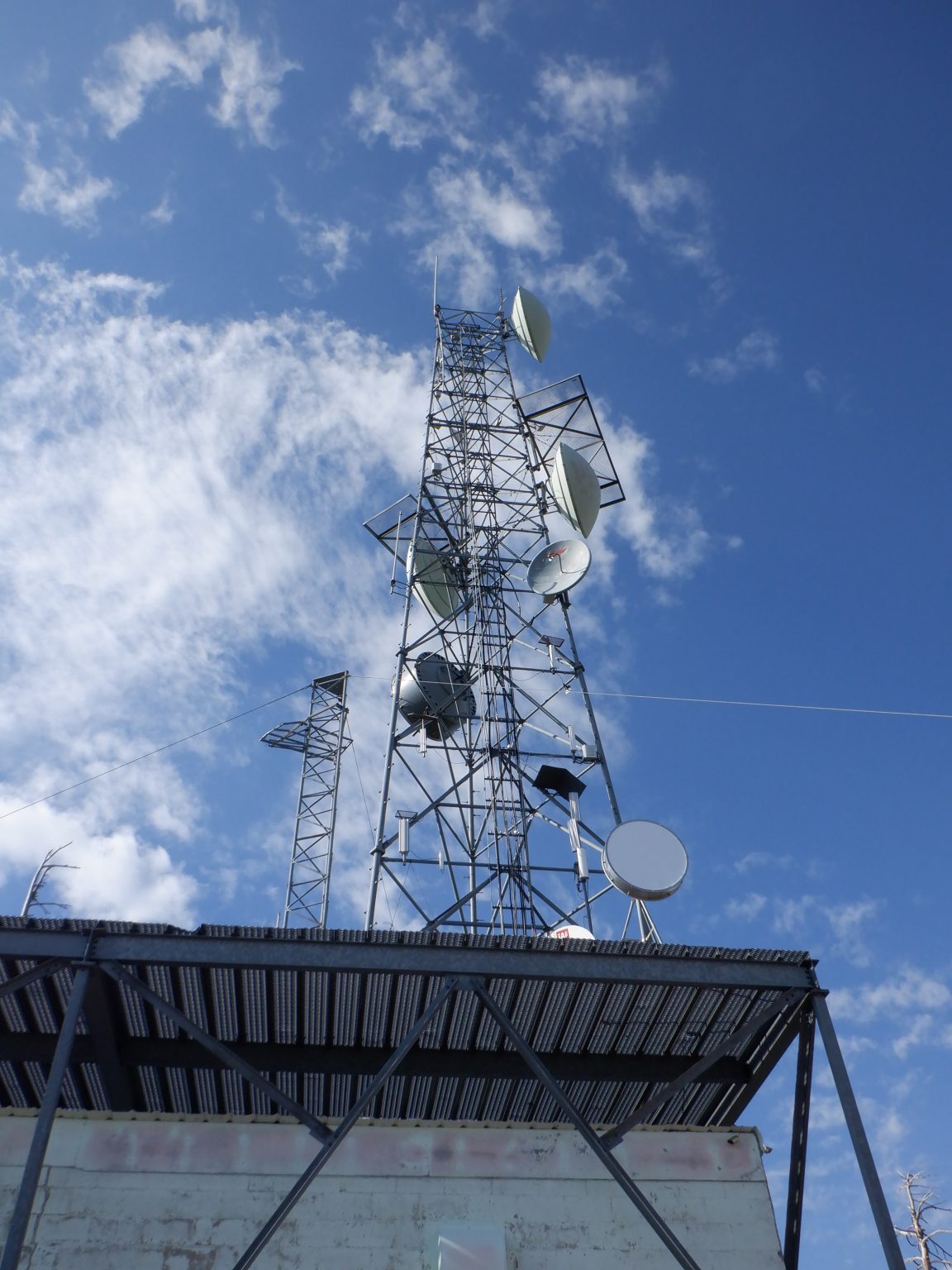 The Arizona 900 Network | The Arizona 900 Network